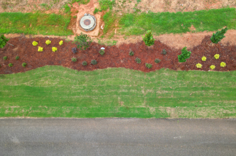 Sod Production - Alta Turf