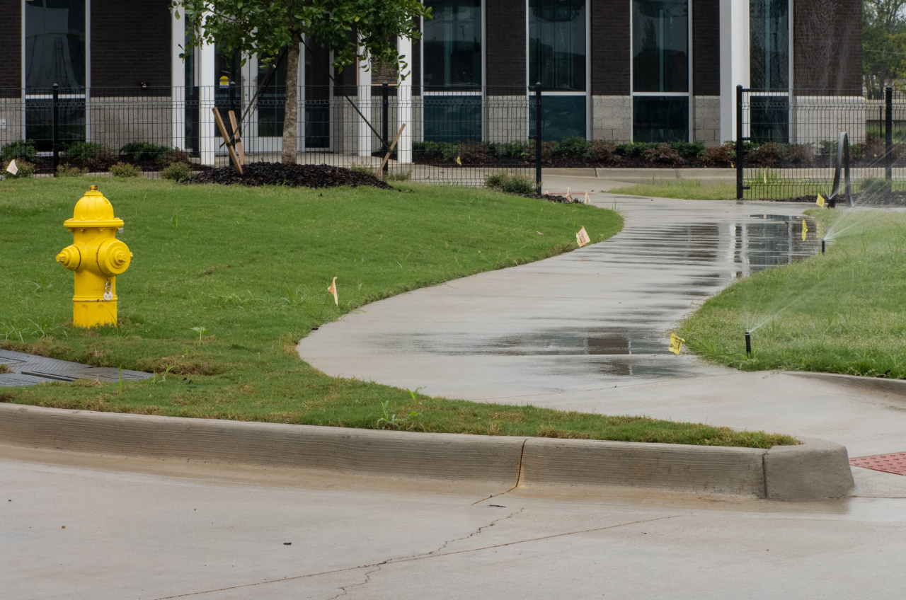 Sod Plugging - Alta Turf